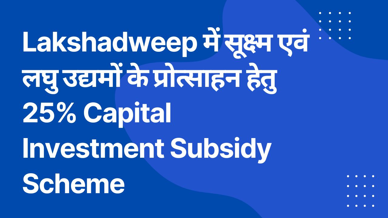 25% Capital Investment Subsidy Scheme 2025