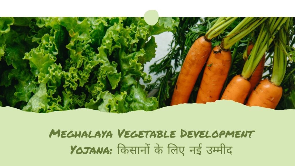 Meghalaya Vegetable Development Scheme: किसानों के लिए